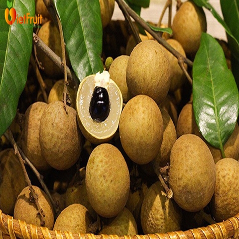 VietFruit | Trái cây hàng ngày - Quà biếu cao sang