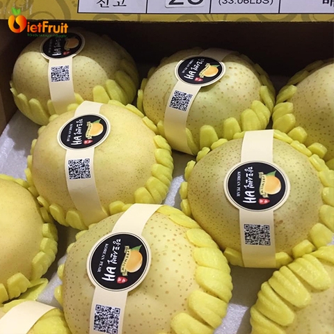 VietFruit | Trái cây hàng ngày - Quà biếu cao sang