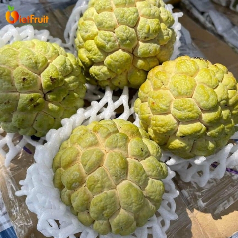 VietFruit | Trái cây hàng ngày - Quà biếu cao sang