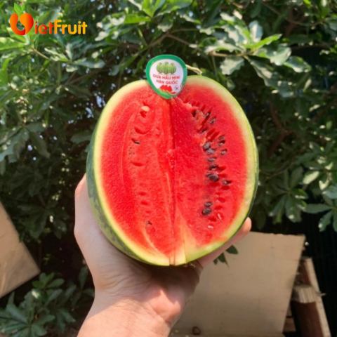 VietFruit | Trái cây hàng ngày - Quà biếu cao sang