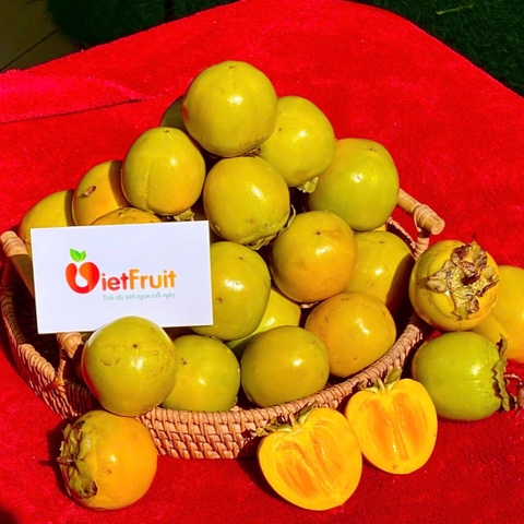 VietFruit | Trái cây hàng ngày - Quà biếu cao sang