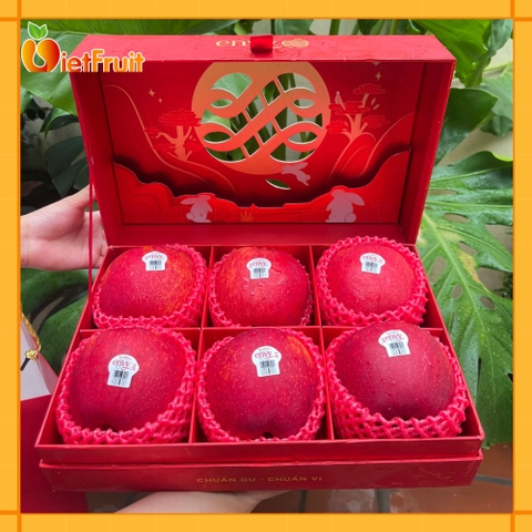 VietFruit | Trái cây hàng ngày - Quà biếu cao sang