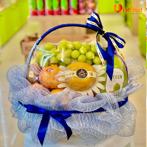 VietFruit | Trái cây hàng ngày - Quà biếu cao sang
