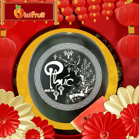 VietFruit | Trái cây hàng ngày - Quà biếu cao sang