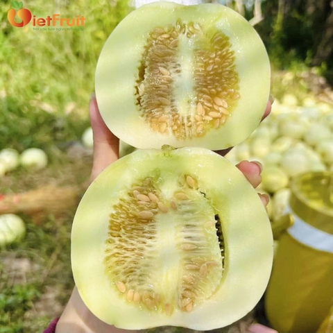VietFruit | Trái cây hàng ngày - Quà biếu cao sang