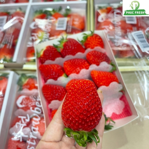 Dâu Hàn 330g | PHUC FRESH