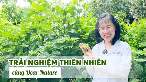 DEAR NATURE - KHOẺ TỰ NHIÊN