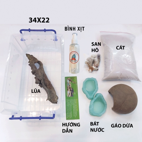 Combo nuôi ốc / cua