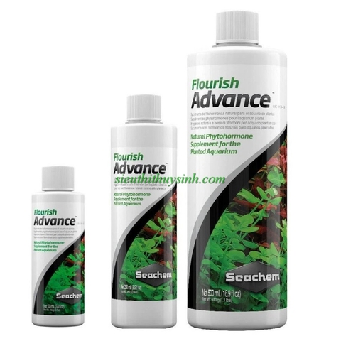 Aqua Home - Siêu thị thủy sinh