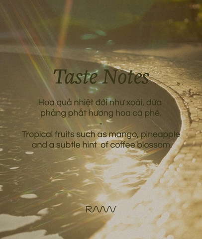 RAAW Coffee