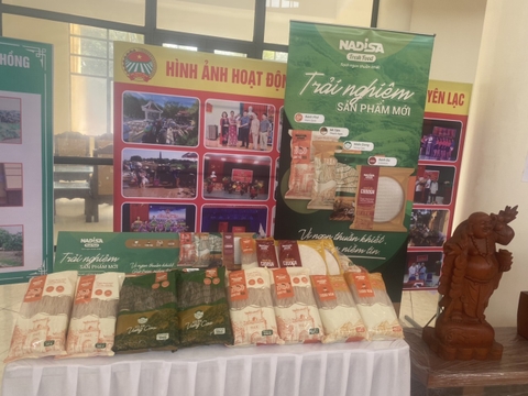 Công ty TNHH Thực phẩm Nadisa