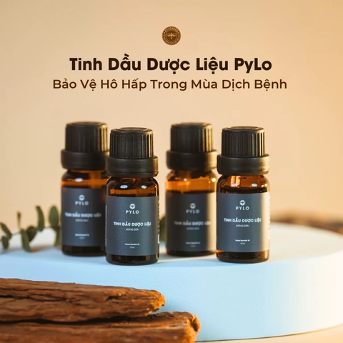 Thư Quán Hạt Lành