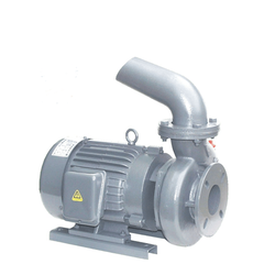Bơm tưới nông nghiệp NTP Nation Pump Model HVY250-1.75 265