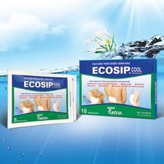 Cao dán thảo dược giảm đau ECOSIP Plaster