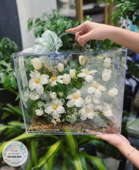 HOA TƯƠI HÀ NỘI . ĐIỆN HOA HÀ NỘI. Đặt Hoa Tươi Online số 1 Hà Nội