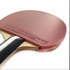 Mặt Vợt Bóng Bàn Tibhar Volcano+ chính hãng, dùng trong thi đấu | Trang ...