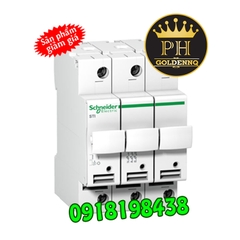 CẦU CHÌ CÁCH LY STL ACTI9 A9N15656 | Công Ty TNHH Tổng Hợp Quốc Tế ...