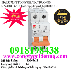 MCB LS BKN-B 10kA 2P 40A-50A-63A | Công Ty Quốc Tế Golden NQ
