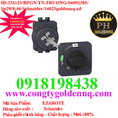 Phụ kiện của MCCB Easypact 100 EZAROTE Schneider | Công Ty TNHH Tổng ...