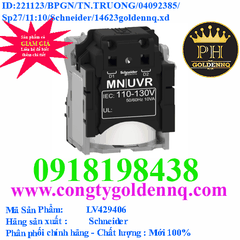 Cuộn bảo vệ thấp áp dành cho MCCB EZS LV429406 Schneider | Công Ty TNHH ...