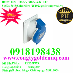 Ổ cắm âm dạng nghiêng PKF32F723 Schneider | Công Ty TNHH Tổng Hợp Quốc ...