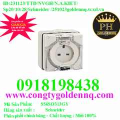Ổ cắm S56SO313GY Schneider | Công Ty Quốc Tế Golden NQ