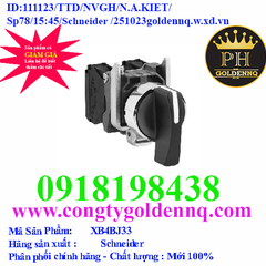 Chuyển mạch XB4BJ33 Schneider | Công Ty TNHH Tổng Hợp Quốc Tế Golden NQ