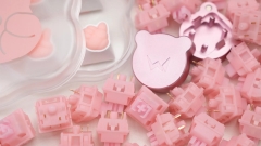 [Instock] Switch WS Pearl Linear