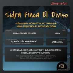 COLOMBIA SIDRA FINCA EL DIVISO HUILA ANAEROBIC NATURAL | Dimesion Coffee