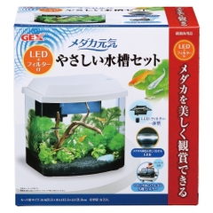 Bộ hồ cá mini ( 21.5 x 15.5 x 21cm ) - Gex Killifish LED Set | CÔNG TY TNHH SX - TM SINH CẢNH VIỆT