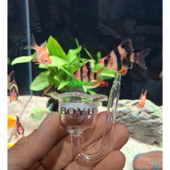 Cốc Sủi CO2 Siêu Mịn Boyu CO-100 Dùng Cho Hồ Cá Thủy Sinh | GUPPYCHEN